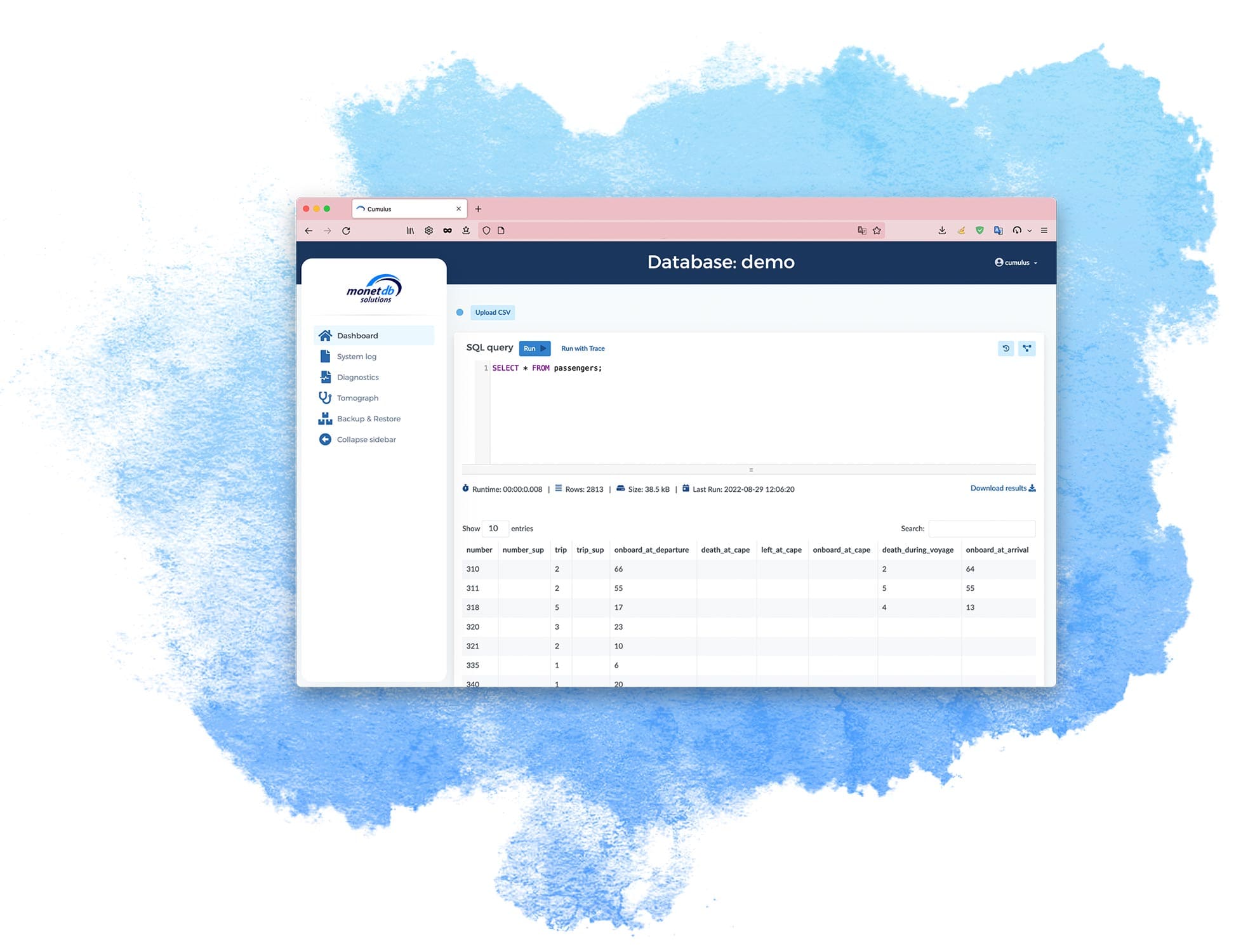 MonetDB Solutions | Cloud solution