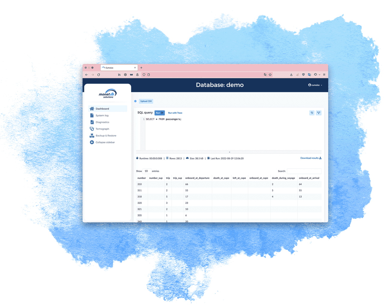 MonetDB Solutions | MonetDB cloud interface