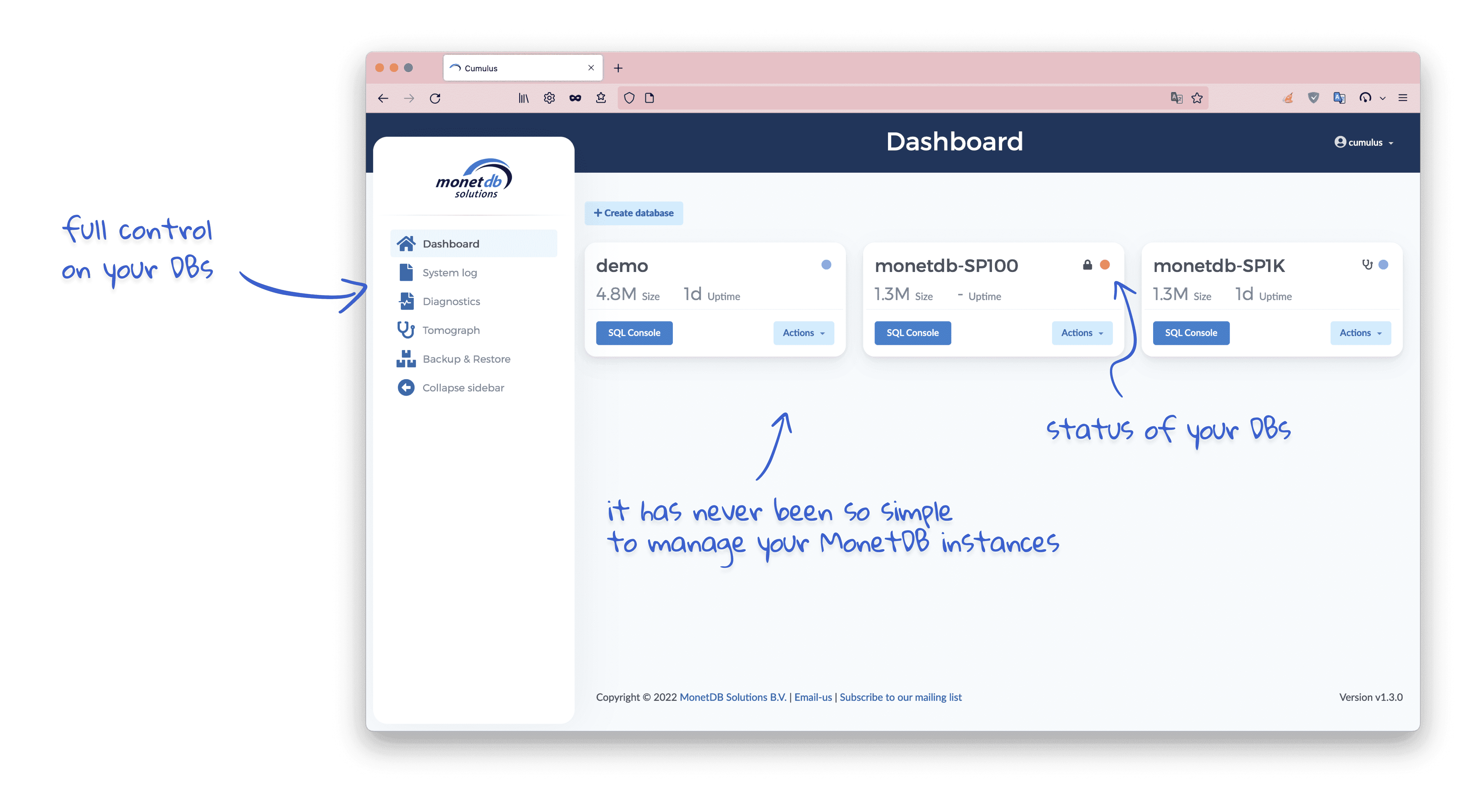 MonetDB Solutions | MonetDB cloud interface