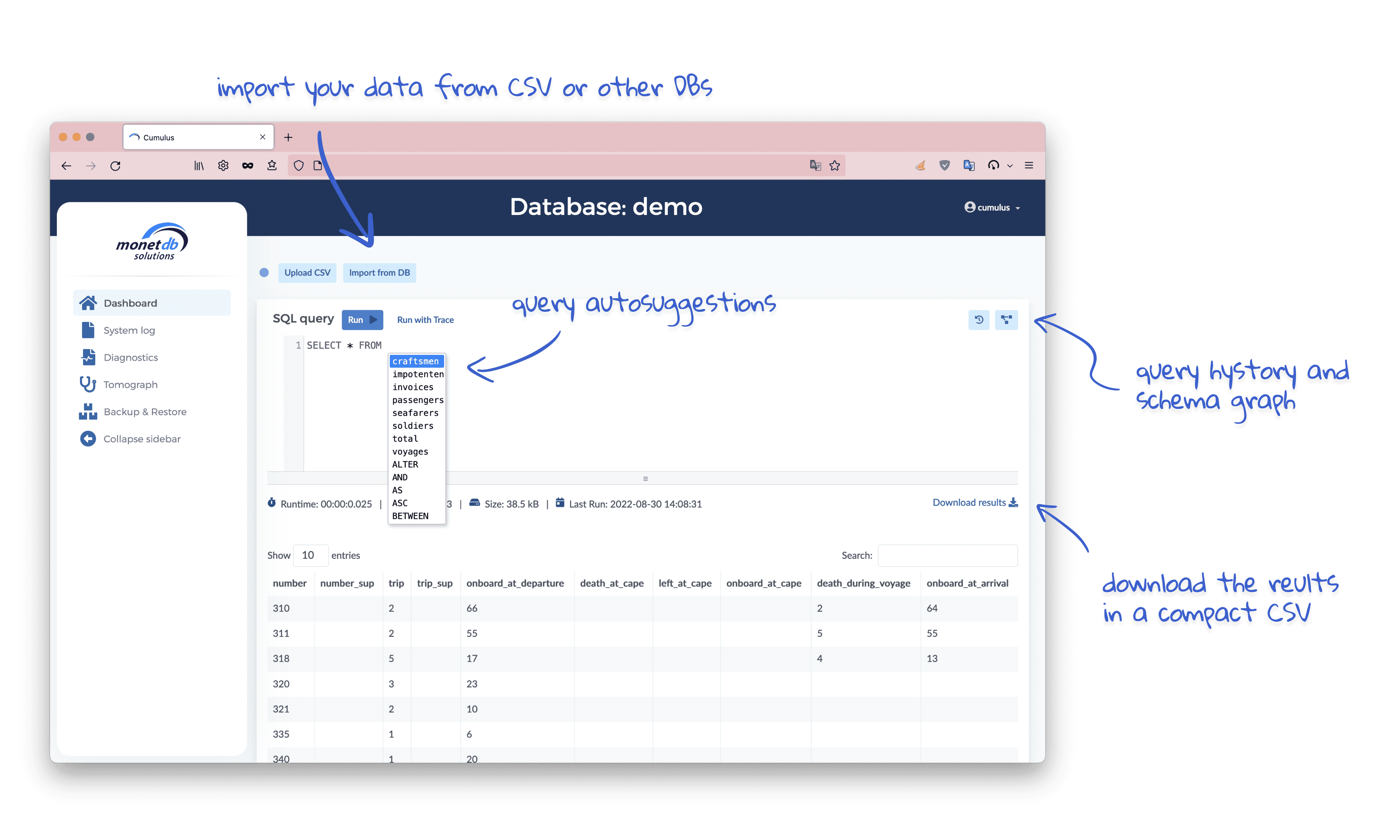MonetDB Solutions | MonetDB cloud interface