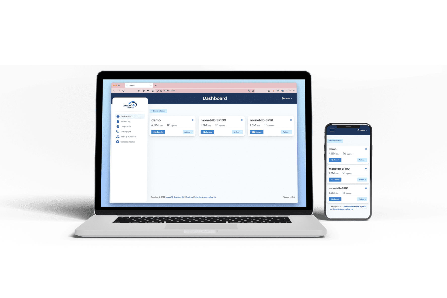 MonetDB Solutions | MonetDB cloud interface