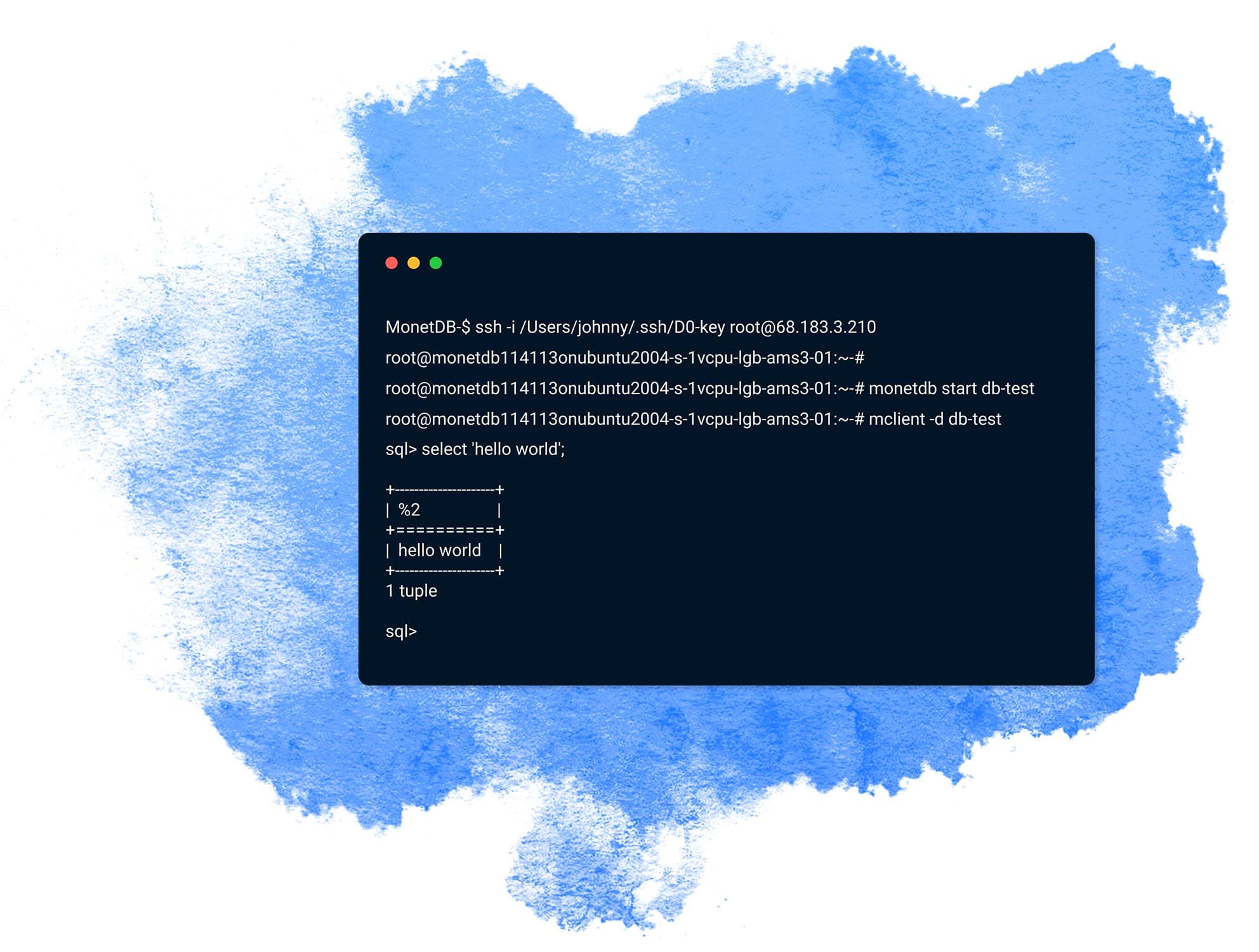 MonetDB Solutions | Cloud solution